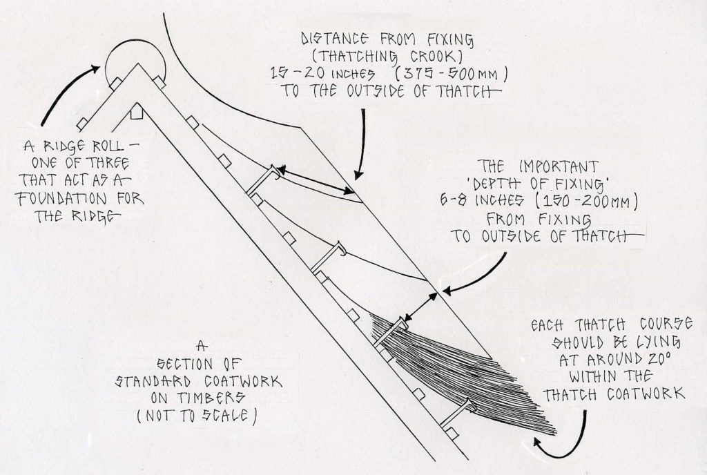 A Beginner’s Guide | Thatching Info.com