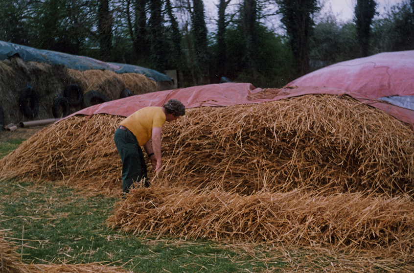 Long Straw Thatch | Thatching Info.com