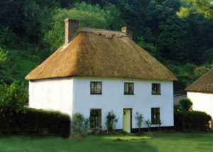 A Beginner’s Guide | Thatching Info.com