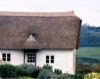 Thatching Turning Features | Thatching Info.com