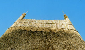 Ridging a Thatched Roof | Thatching Info.com