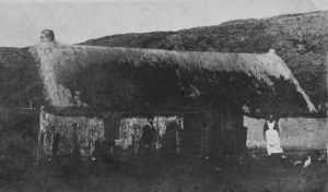 Non Standard thatching methods | Thatching Info.com