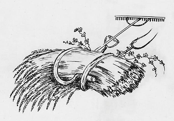 Thatching Info.com | A comprehensive resource for the art of thatching