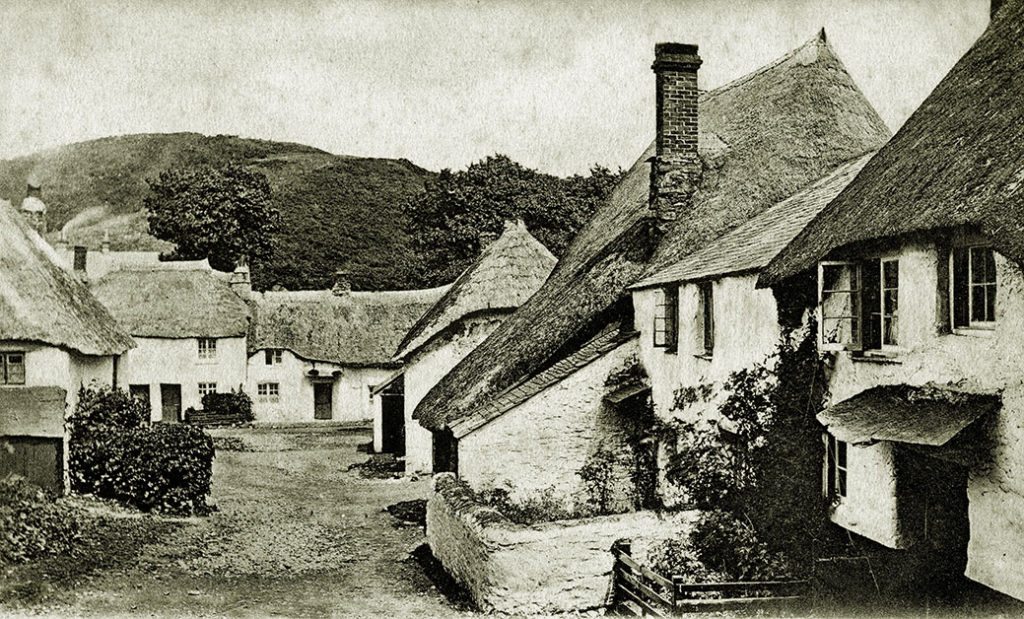 Thatching in Devon | Thatching Info.com