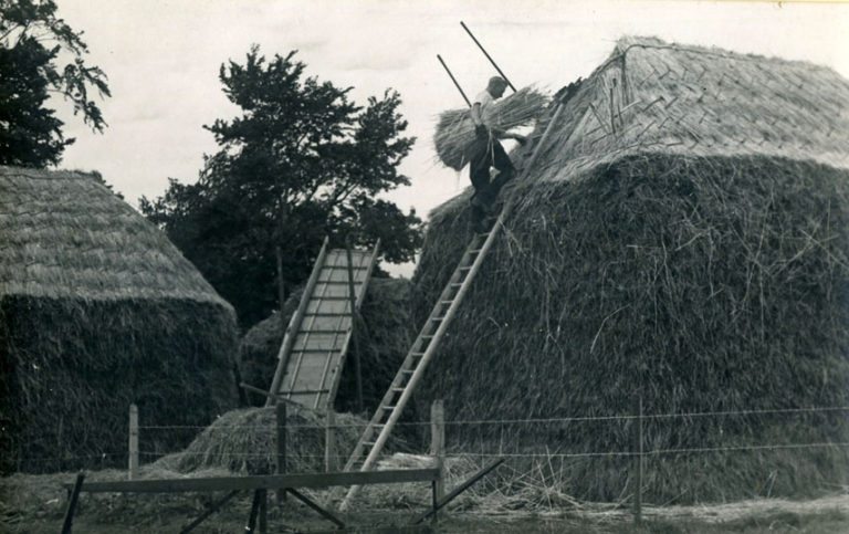 Thatching Ricks & Stacks, in Britain | Thatching Info.com