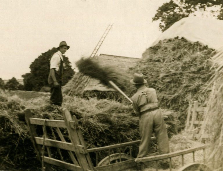 Thatching Ricks & Stacks, in Britain | Thatching Info.com